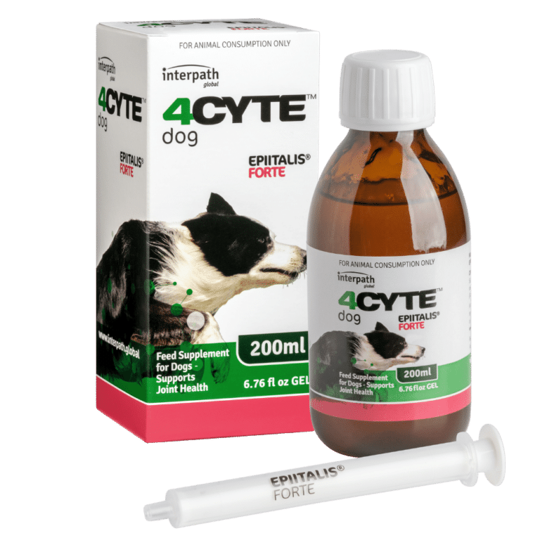 4CYTE Gel for Dogs 200ml | Joint Support NZ | Vetpost