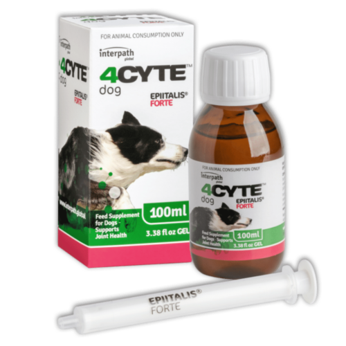 4CYTE Epiitalis Forte Gel for Dogs 100ml