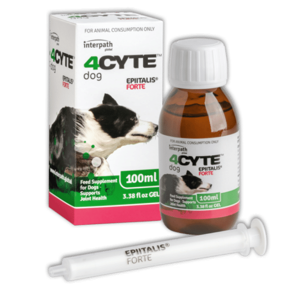 4CYTE Epiitalis Forte Gel for Dogs 100ml