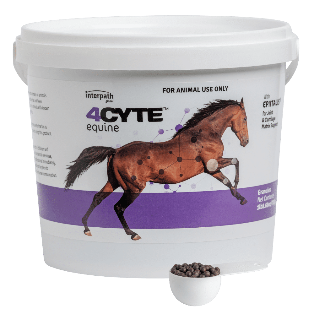 4CYTE Equine 700g | Buy Online from Vet Post NZ | Fast Delivery
