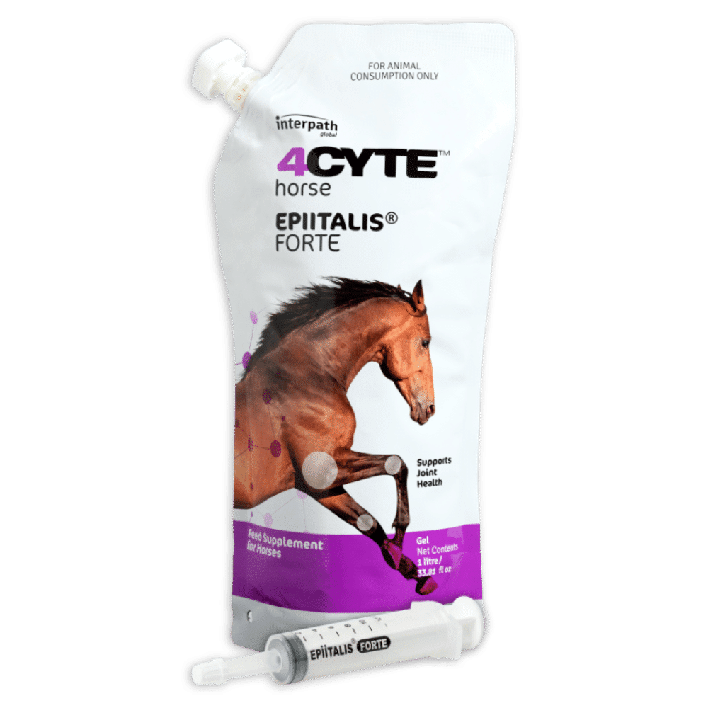 4CYTE Granules for Dogs & Cats 100g | Shop Online Vet Post NZ