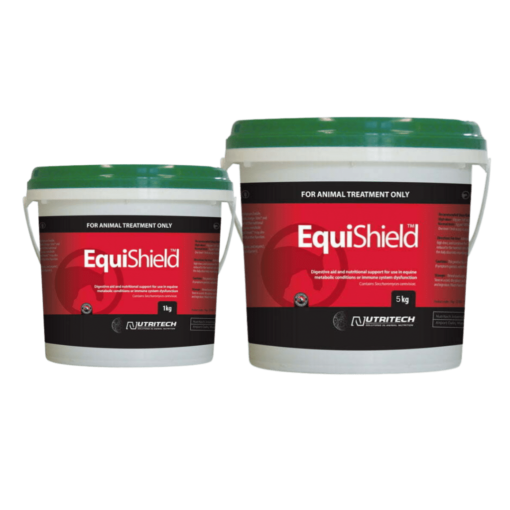 EquiShield | Buy Online from Vet Post NZ | Fast Delivery