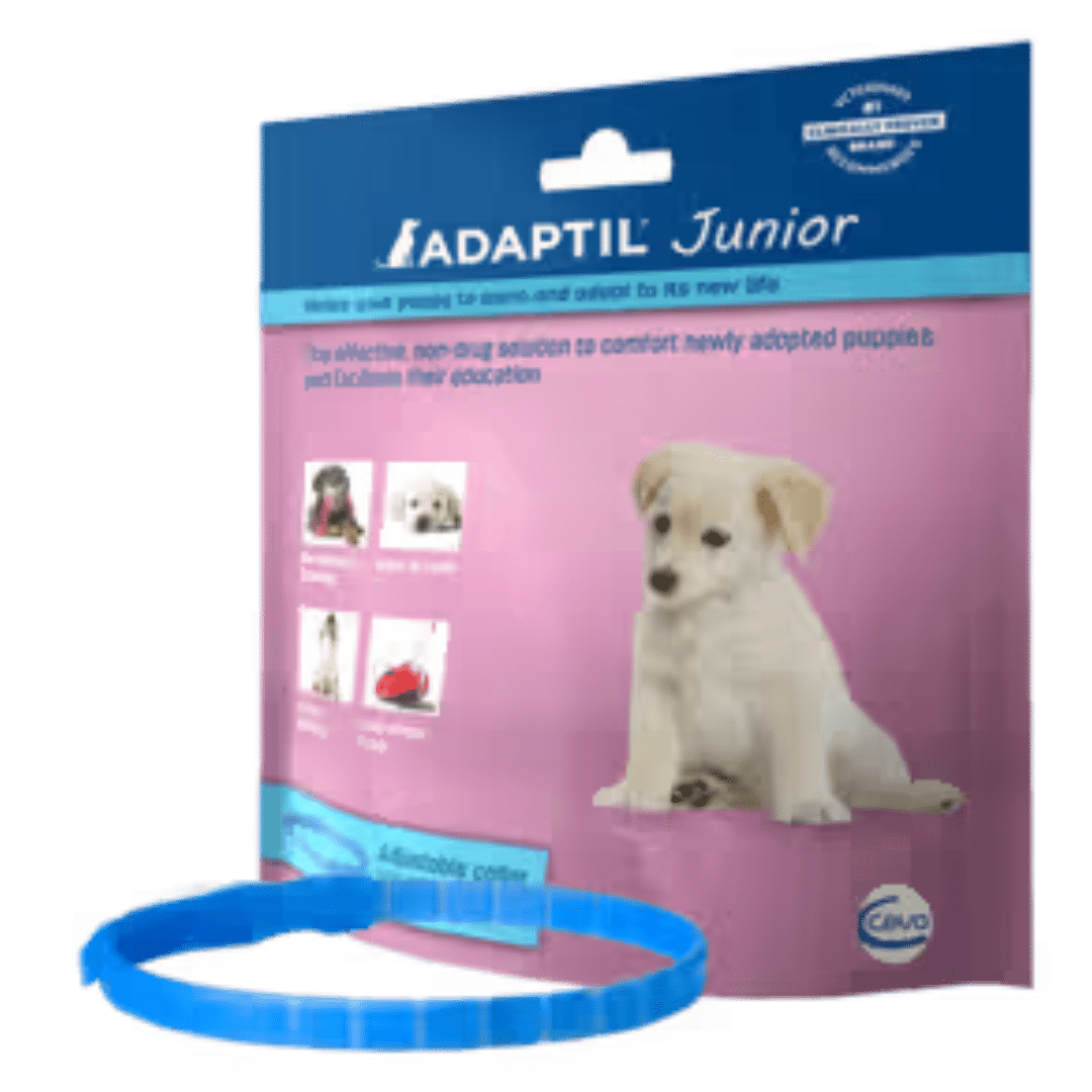 Adaptil Junior Puppy Collar | Buy Online from Vet Post NZ | Fast Delivery