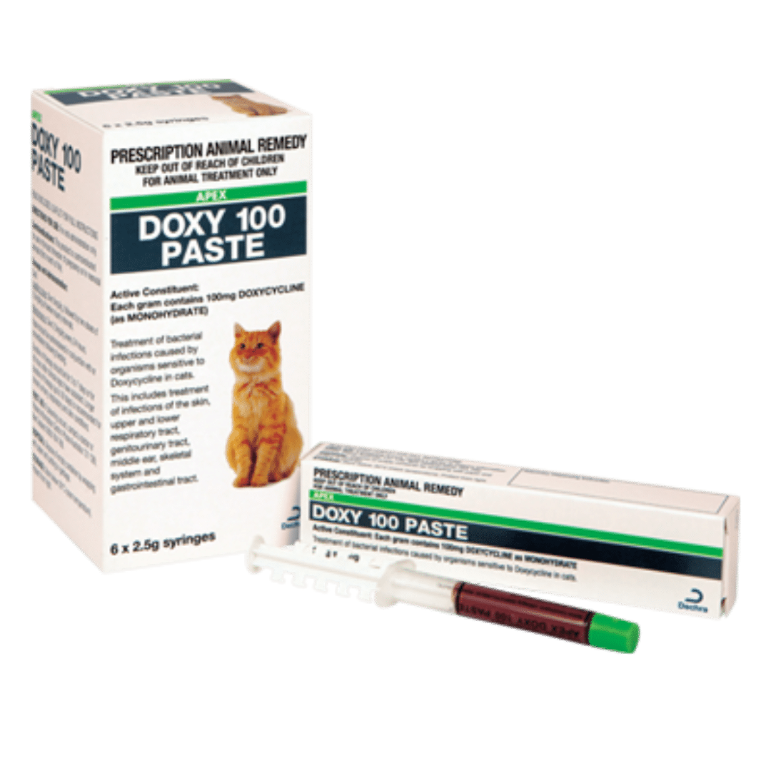 Doxy 100 Paste 6 x 2.5g Syringes | Buy Online from Vet Post NZ | Fast ...