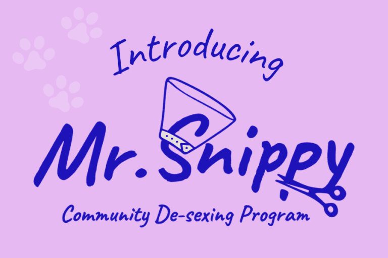 Contact Us | Vet Post