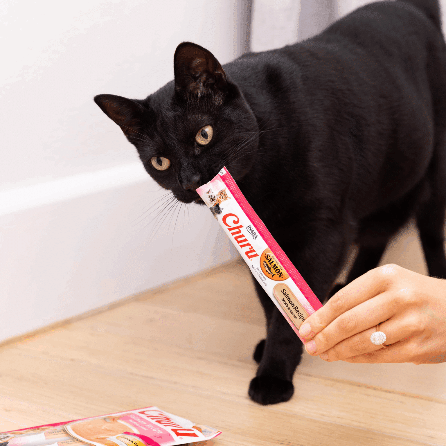 Inaba Churu Salmon Lickable Cat Treat 4 Pack | Buy Online from Vet Post ...