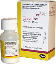 Clavulox Drops 15ml | Buy Online from Vet Post NZ | Fast Delivery