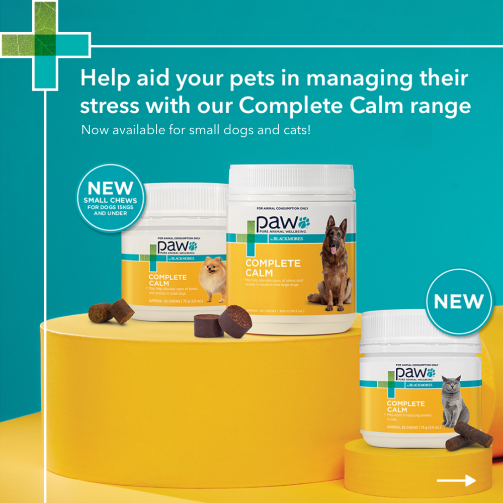 PAW Complete Calm Chews Small Dog 75g | Buy Online at Vetpost NZ