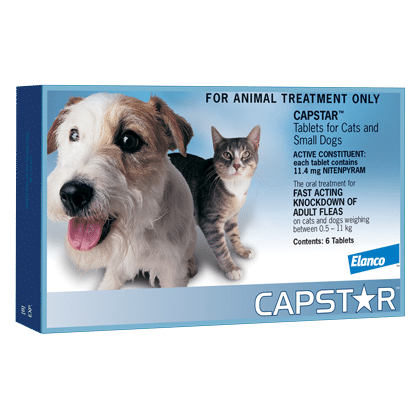 Capstar 11.4mg 0-11kg 6 pack | Buy Online from Vet Post NZ | Fast Delivery