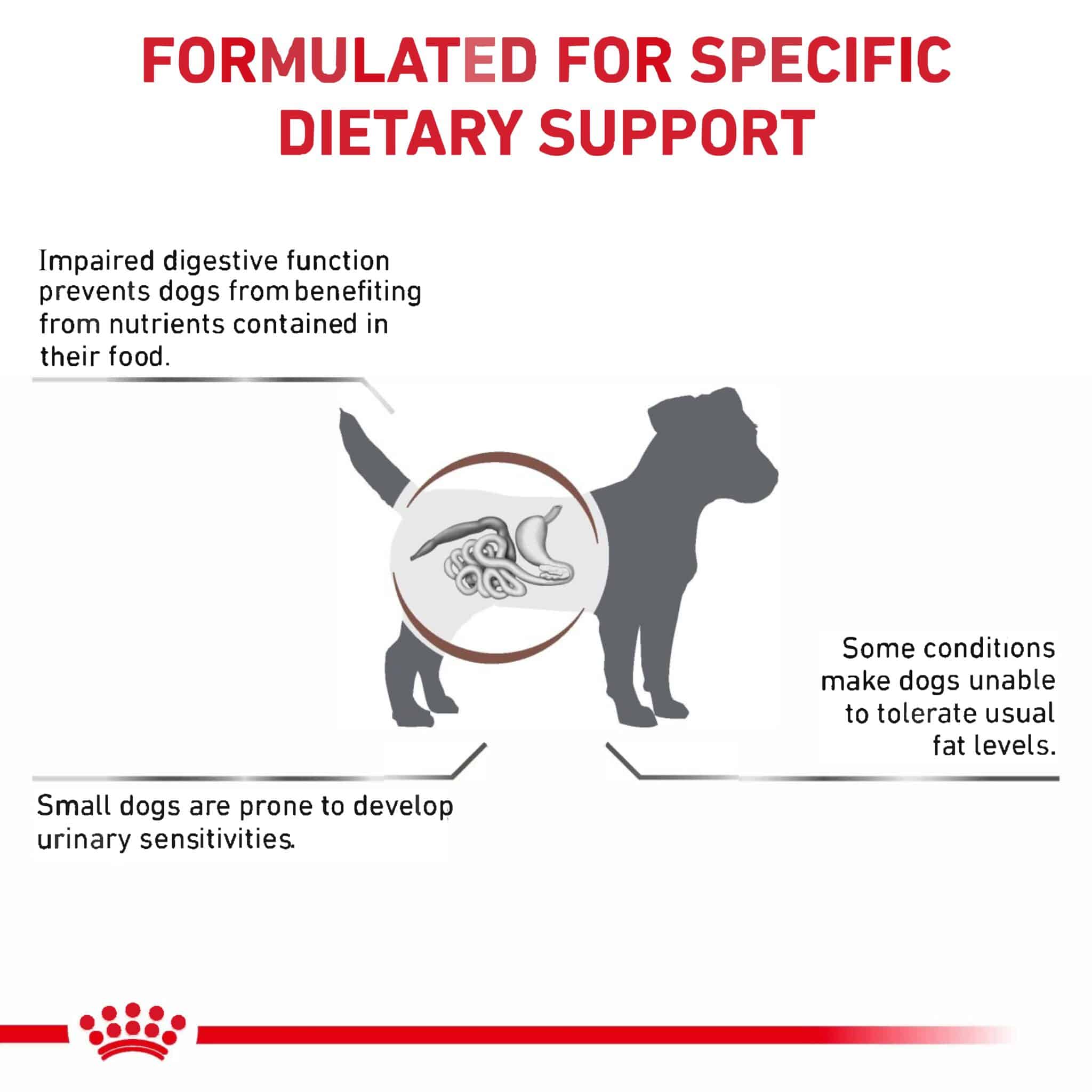 Royal Canin GI Low Fat Small Dog 3.5kg | Vetpost
