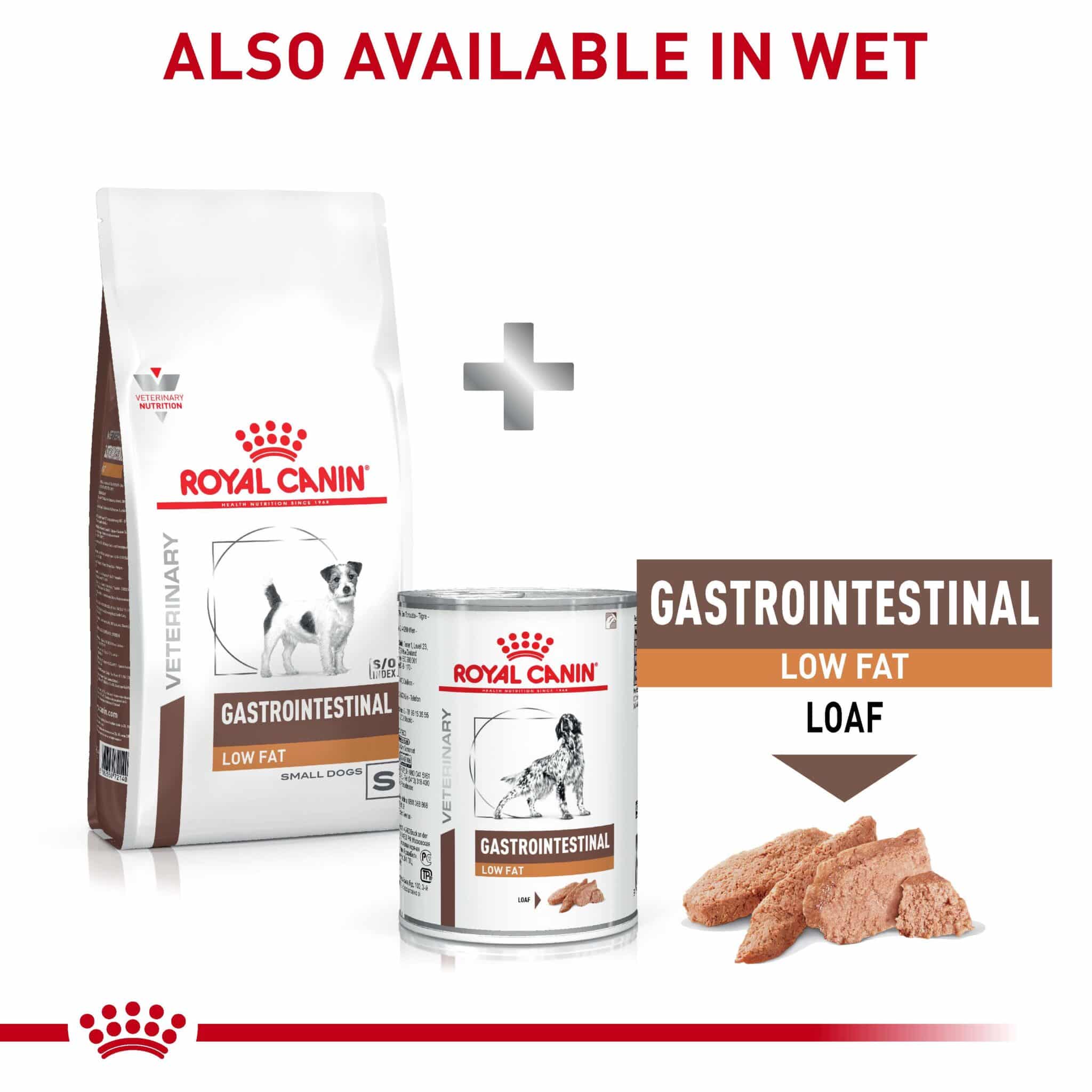 Royal Canin GI Low Fat Small Dog 3.5kg | Vetpost