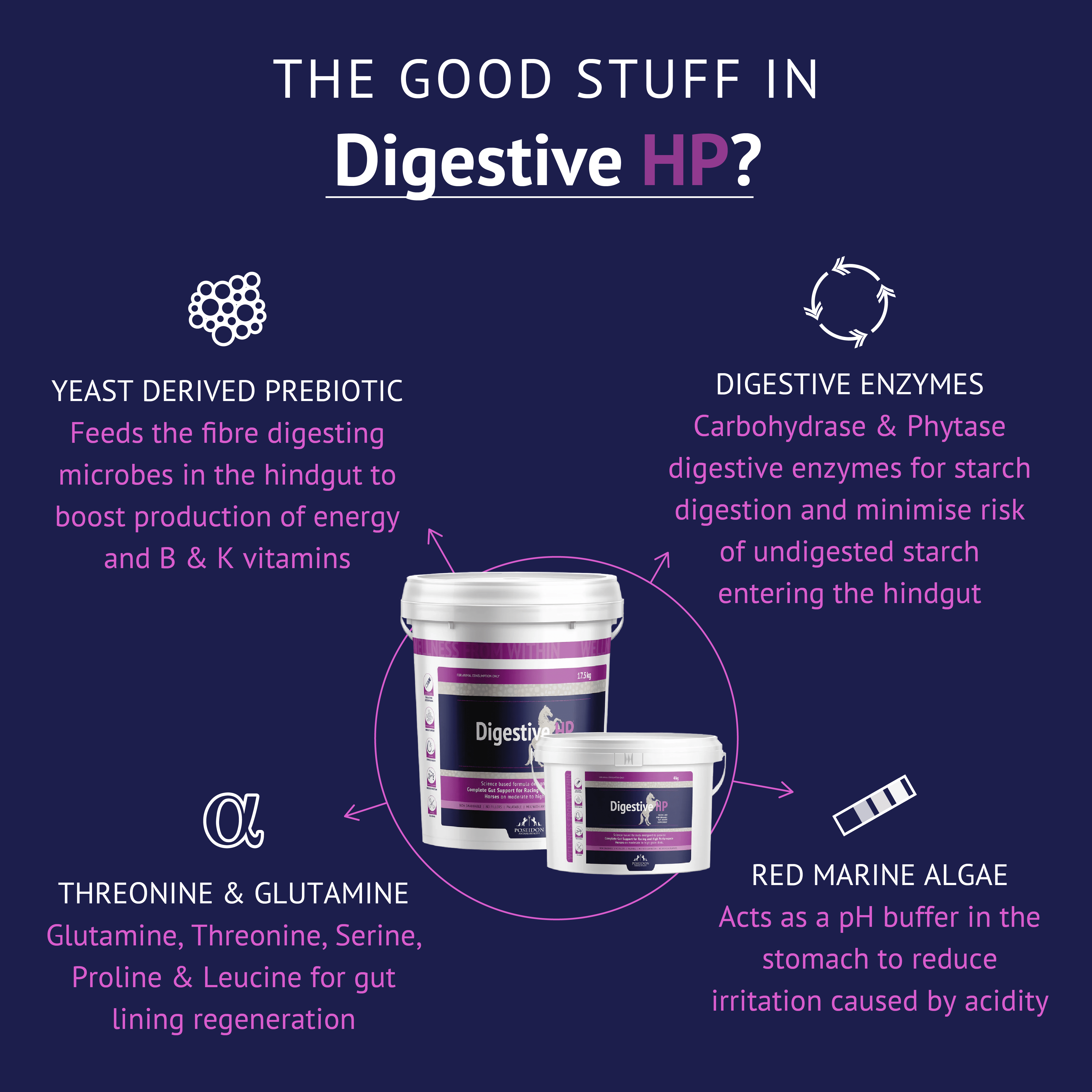 Digestive HP 4kg | Buy Online from Vet Post NZ | Fast Delivery