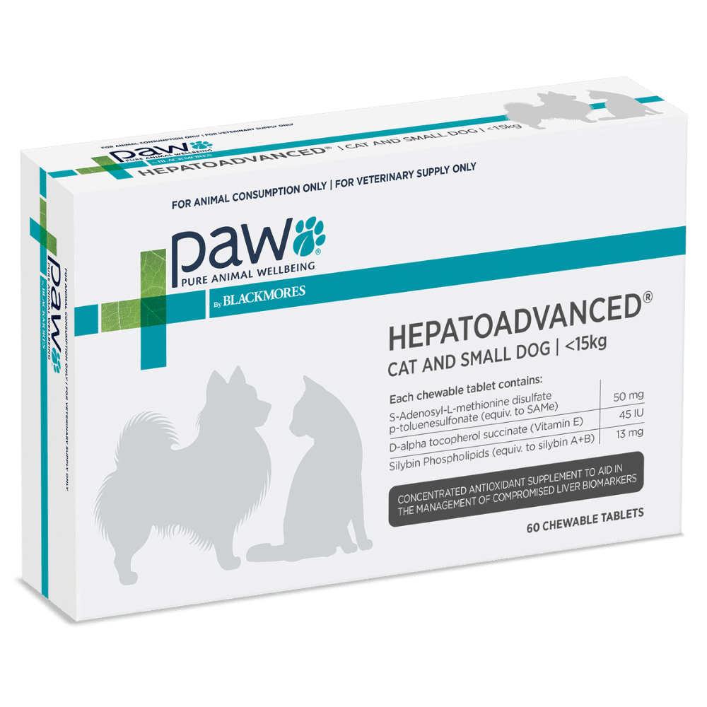 Hepatoadvanced Cat & Small Dog (60 Tablets) | Shop Online at Vetpost NZ