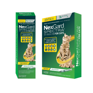 Nexgard Spectra for Large Cats (2.5-7.4kg) | Buy Online from Vet Post ...