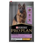 Purina Pro Plan NZ | Advanced Dog & Cat Nutrition | Vetpost