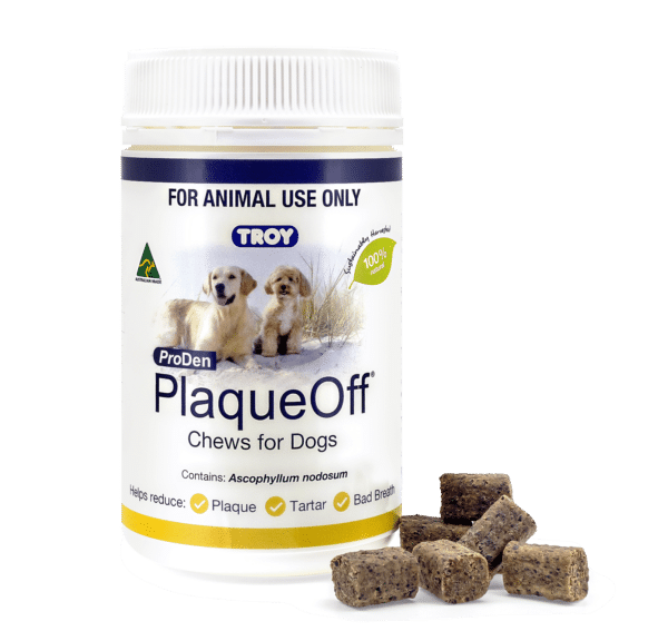 PlaqueOff Chews for Dogs 100 Pack | Buy Online from Vet Post NZ | Fast ...