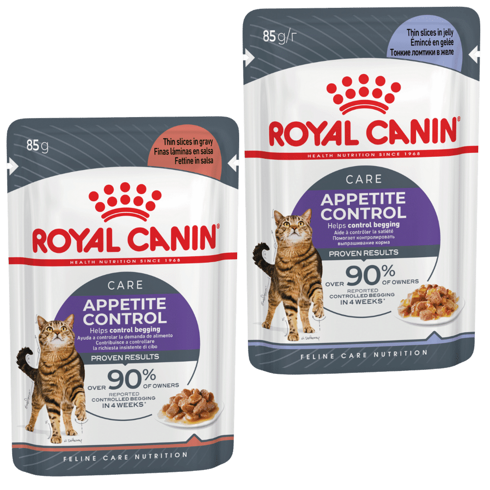Royal Canin Appetite Control Wet Cat Food Pouches 85g x 12 | Buy Online ...