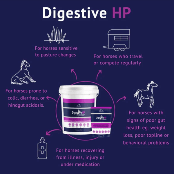 Digestive HP 4kg | Buy Online from Vet Post NZ | Fast Delivery