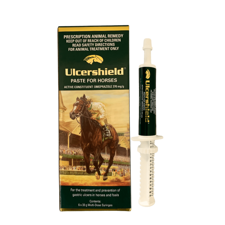 Ulcer Treatment for Horses | Ulcershield Paste Box of 6 | Vetpost