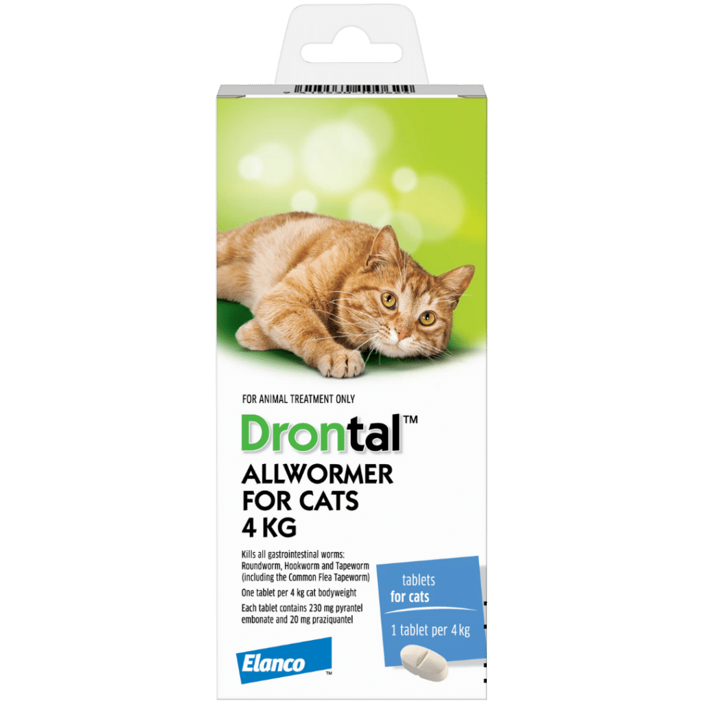 Drontal for Cats | 4kg Single Tablet | All-Wormer | Vetpost