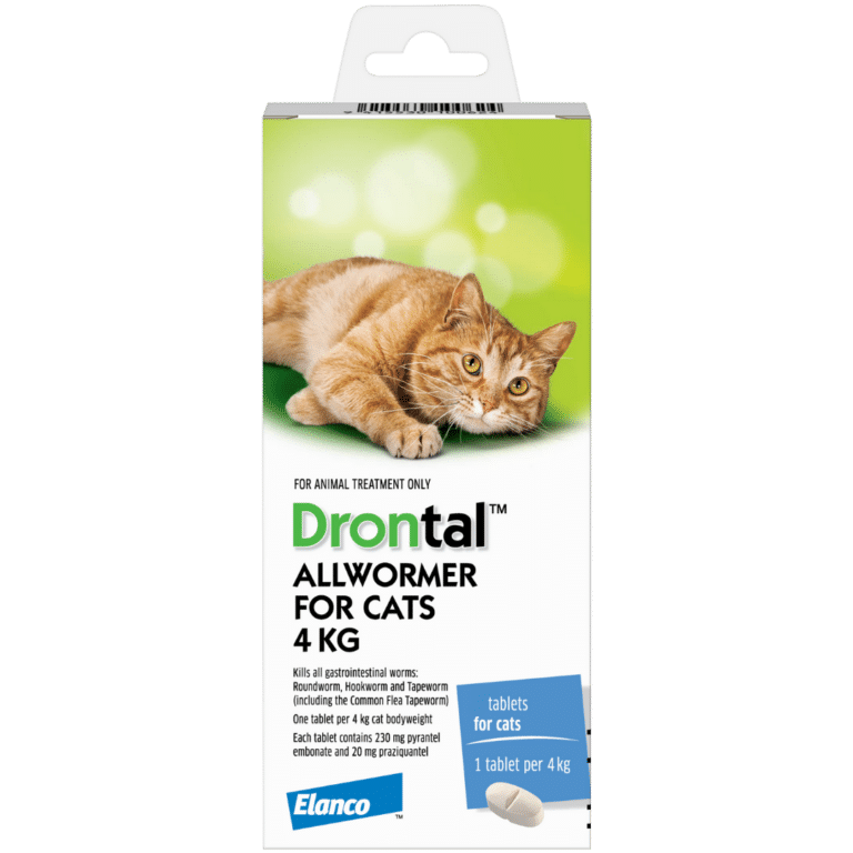 Drontal for Cats | 4kg Single Tablet | All-Wormer | Vetpost