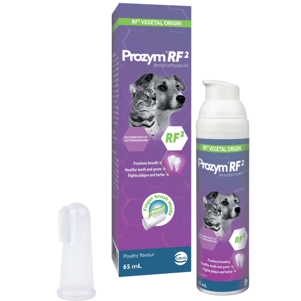 Prozym Toothpaste Kit | Buy Online from Vet Post NZ | Fast Delivery