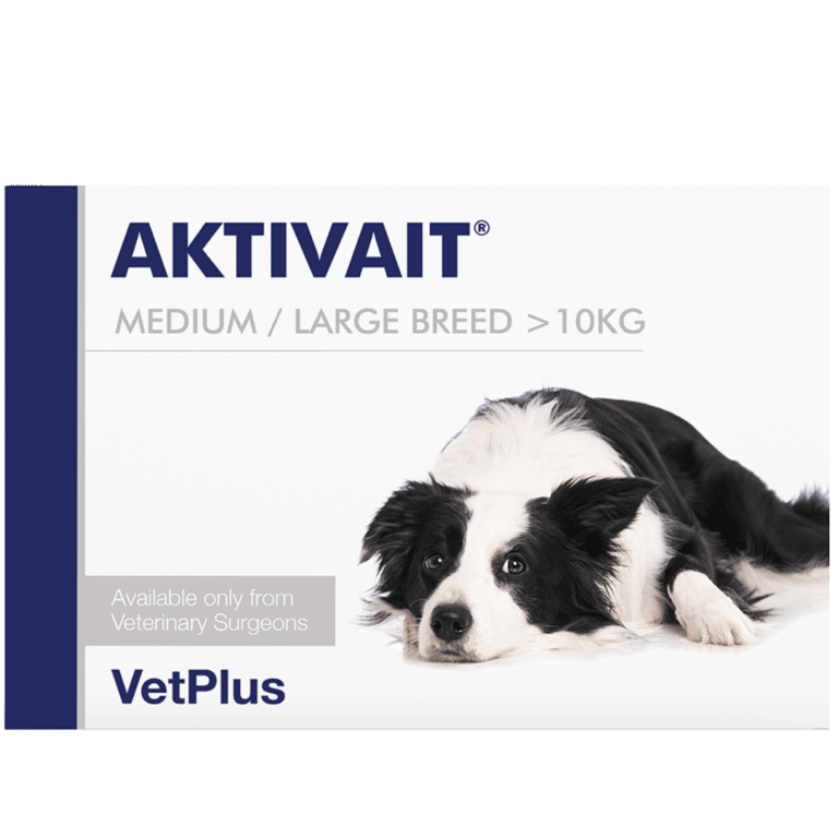 Aktivait NZ | Brain Support for Ageing Dogs & Cats | Vetpost
