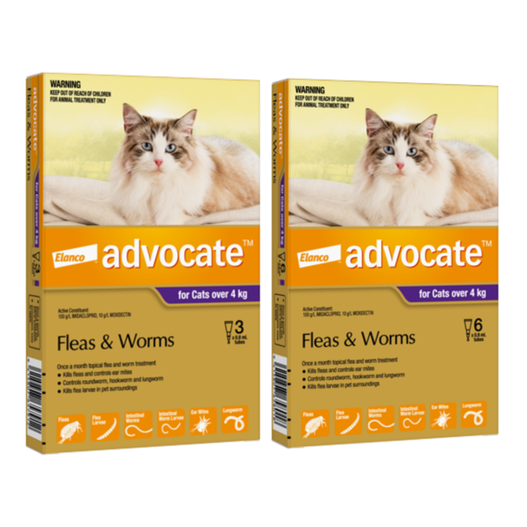 Archives: Shop - Vetpost