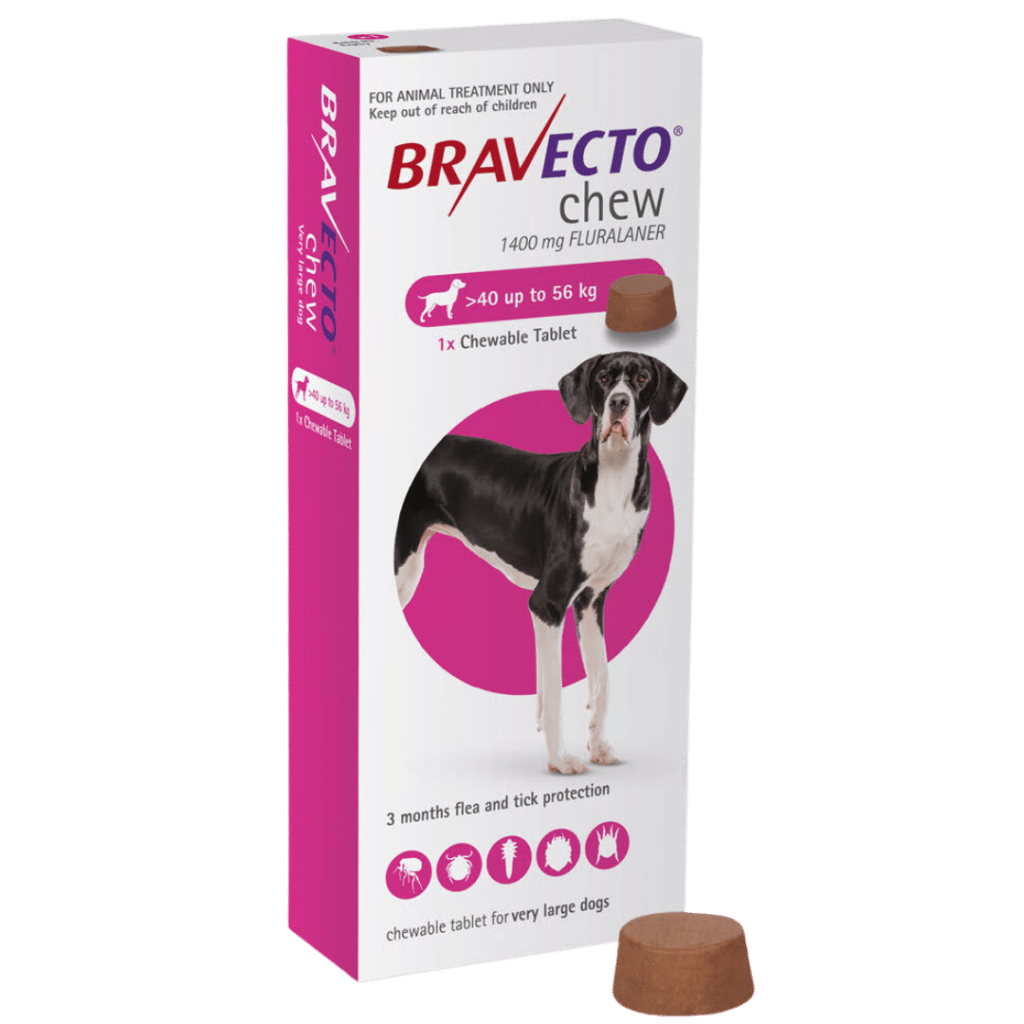 Bravecto X Large Dog Flea Treatment 40 56kg Chew Buy Online From Vet bravecto-x-large-dog-flea-treatment-40-56kg-chew-buy-online-from-vet