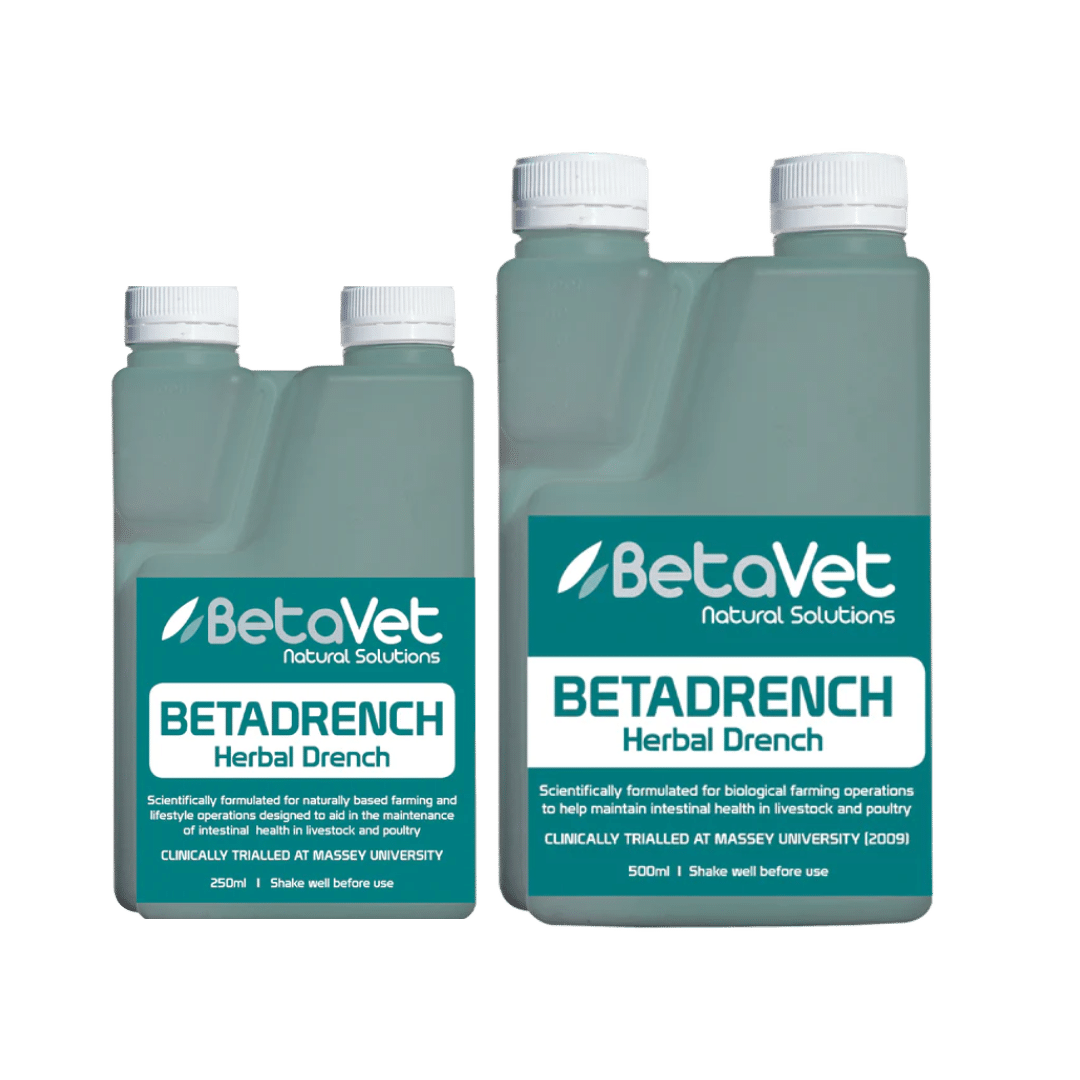 BetaVet Drench | Buy Online from Vet Post NZ | Fast Delivery