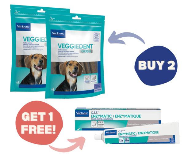 Veggiedent Fresh Chews 15 pack | Buy Online from Vet Post NZ | Fast ...