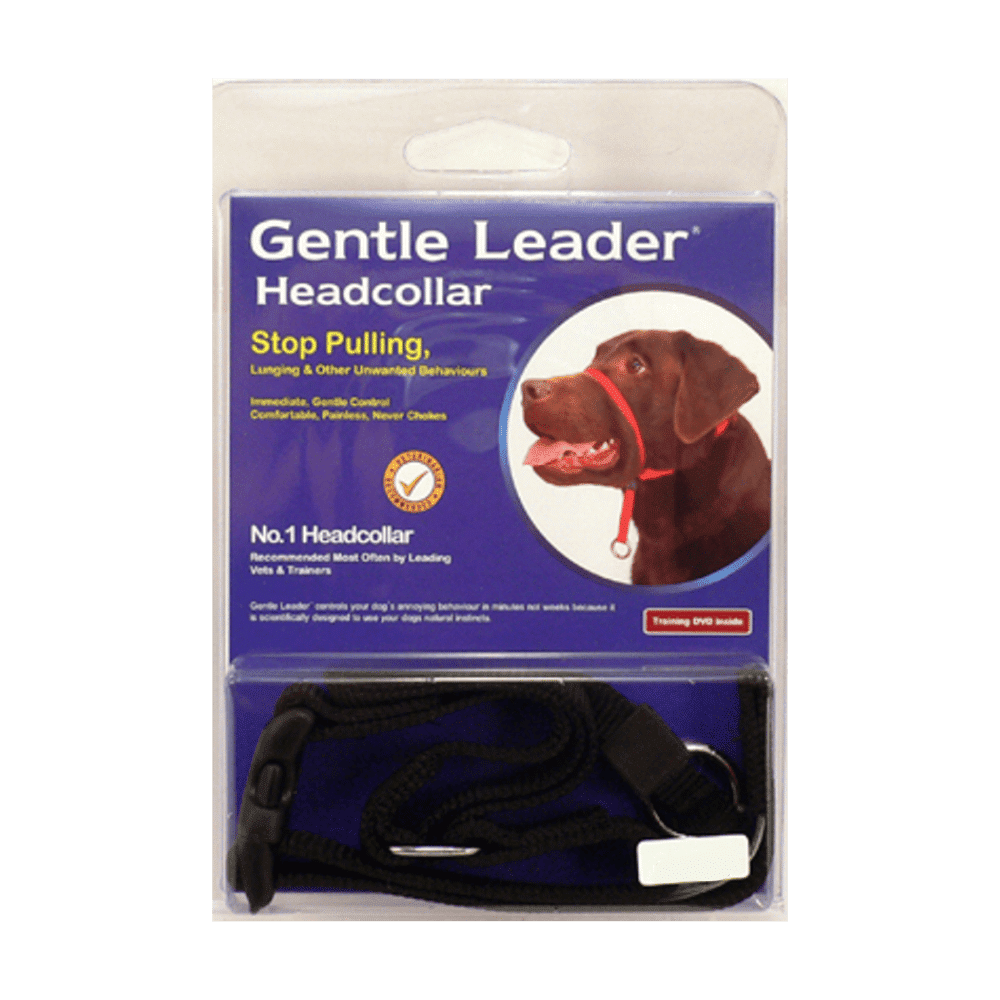 Beau Gentle Leader Head Collar | Buy Online from Vet Post NZ | Fast ...
