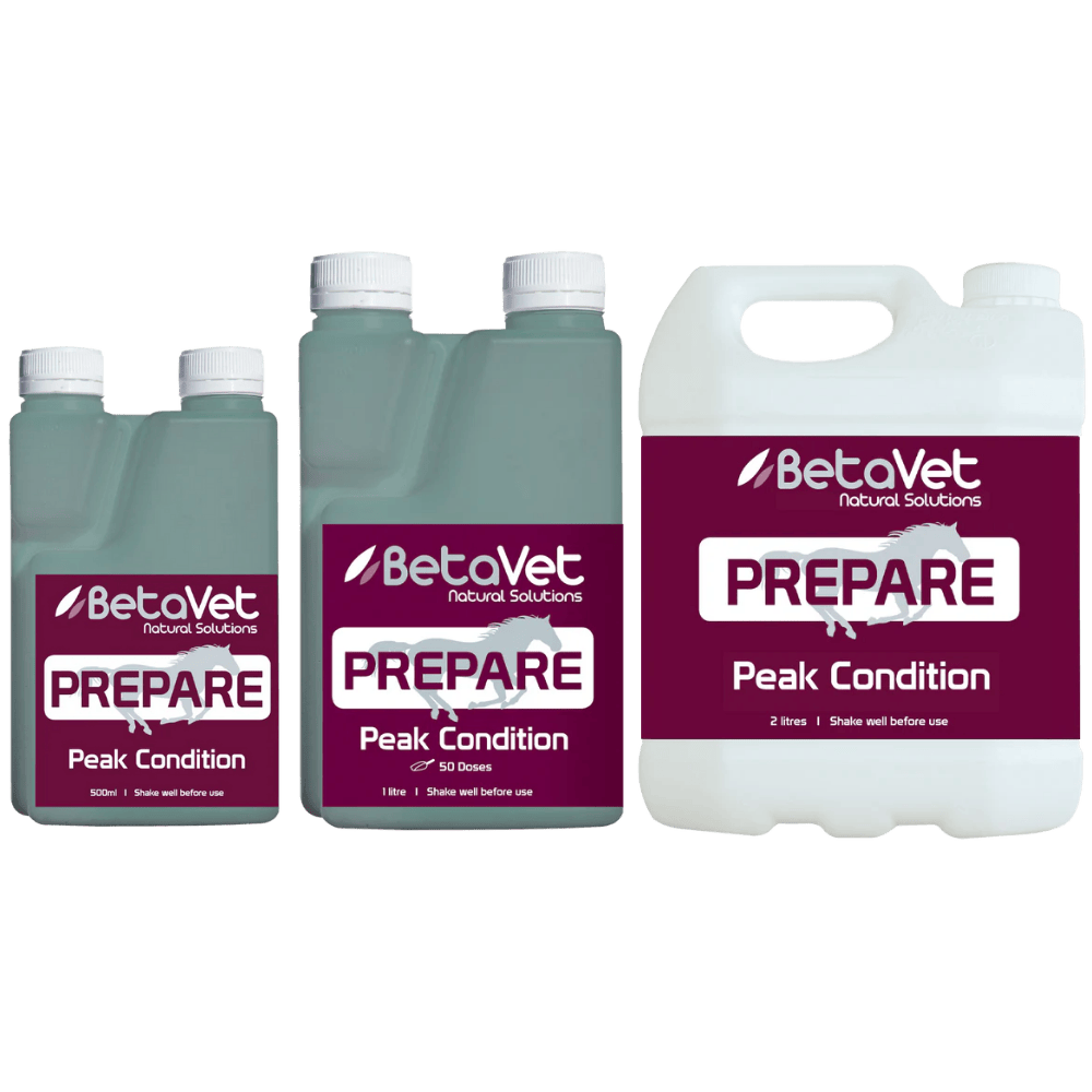 Horse Products - Supplements & Care Essentials - Vetpost NZ