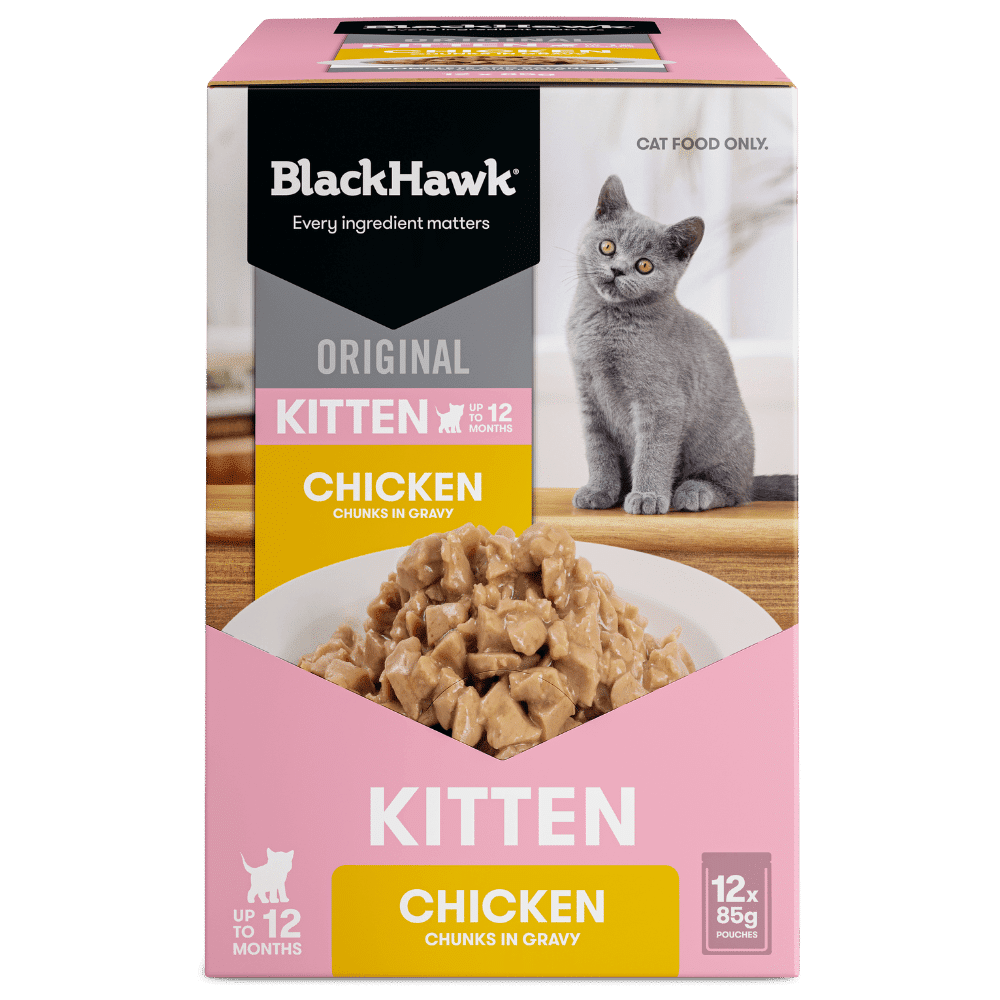 Black Hawk Original Kitten Pouches 85g x 12 | Buy Online from Vet Post ...