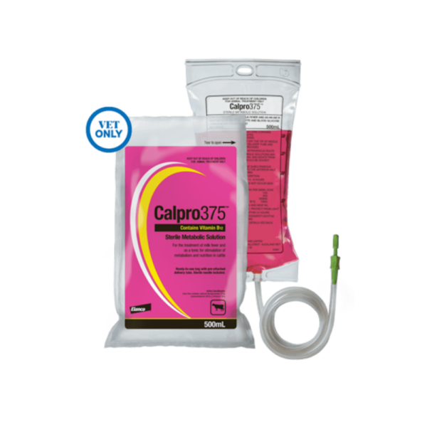 Buy Pet Products + Prescriptions | Vet Post NZ | Fast Delivery