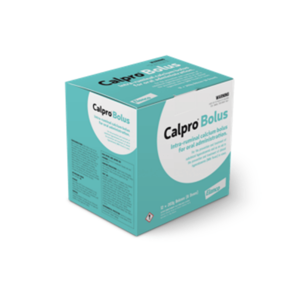 Buy Pet Products + Prescriptions | Vet Post NZ | Fast Delivery