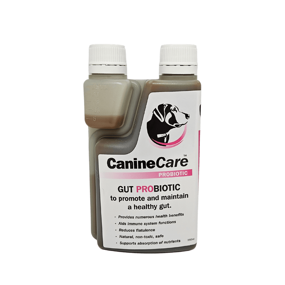CanineCare Gut Probiotic 250ml | Buy Online from Vet Post NZ | Fast ...