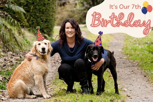 Vet Post Celebrates Our 7th Birthday! | Vet Post