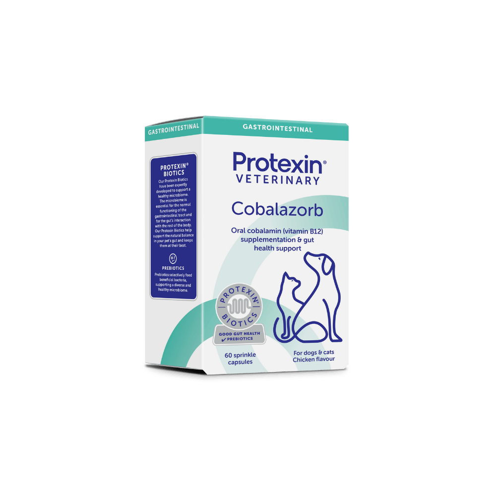 Cobalazorb | Vitamin B12 Support for Pets | Vetpost