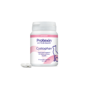 Cystophan Urinary Capsules for Cats | Buy Online from Vet Post NZ ...