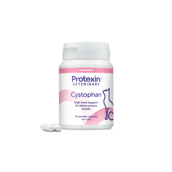 Cystophan Urinary Capsules for Cats | Buy Online from Vet Post NZ ...