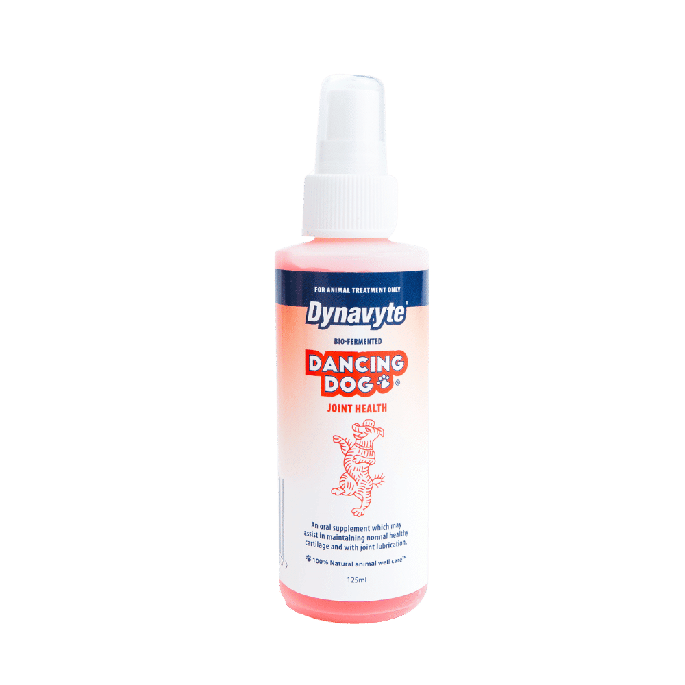 Dynavyte Dancing Dog 125ml | Buy Online from Vet Post NZ | Fast Delivery