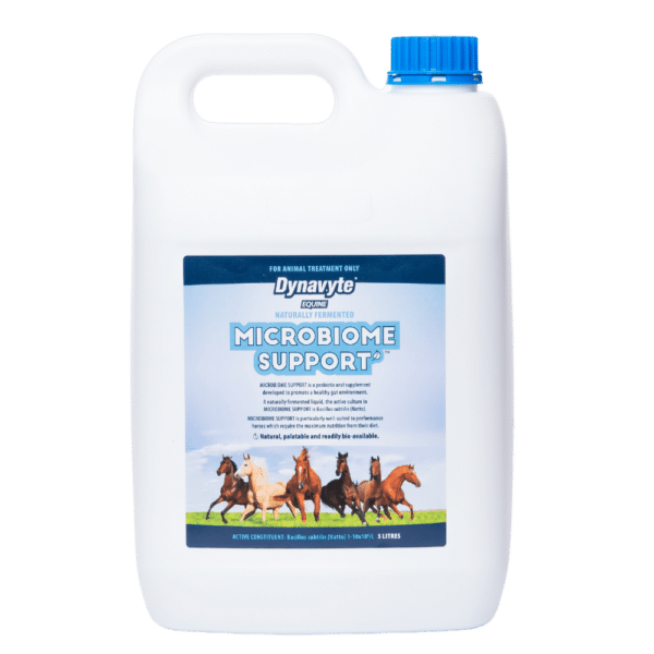Dynavyte MBS Equine Microbiome Support | Buy Online from Vet Post NZ ...