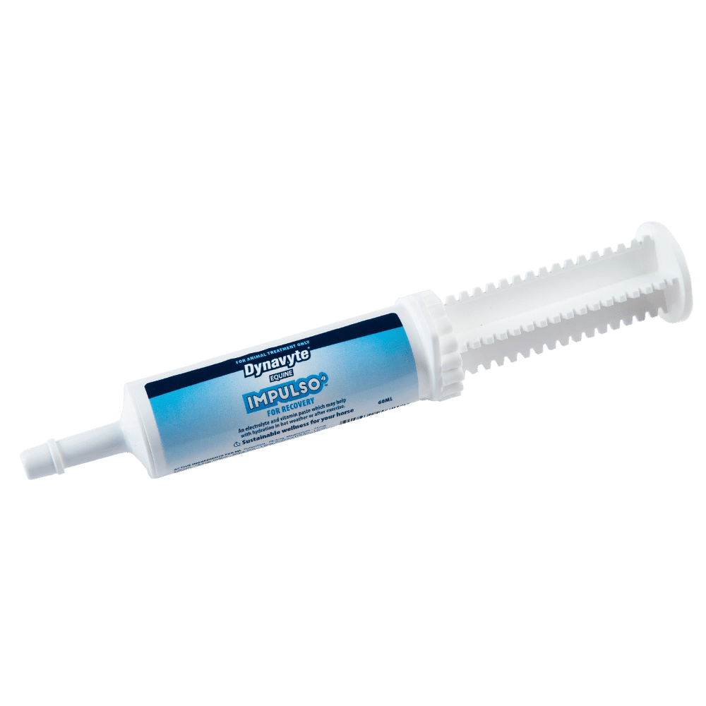Dynavyte Impulso Equine 60ml | Buy Online from Vet Post NZ | Fast Delivery