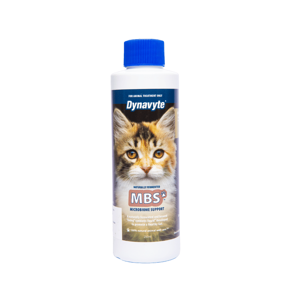 Dynavyte MBS Microbiome Support Cat - 250ml | Buy Online from Vet Post NZ | Fast Delivery