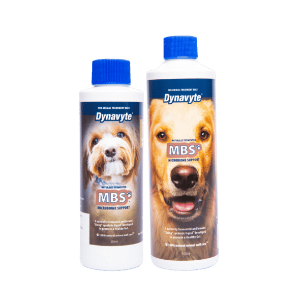 Dynavyte MBS Microbiome Support Dog | Buy Online from Vet Post NZ | Fast Delivery