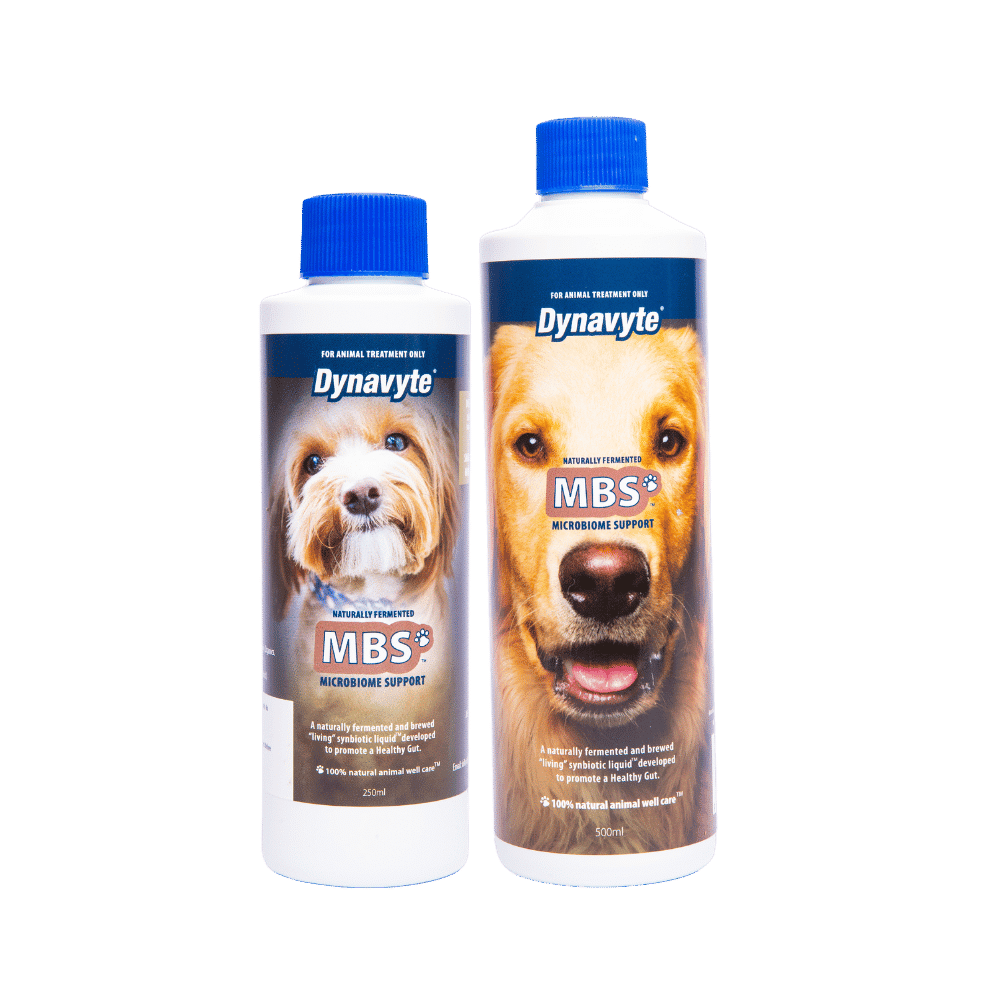 Dynavyte MBS Microbiome Support Dog | Buy Online from Vet Post NZ ...