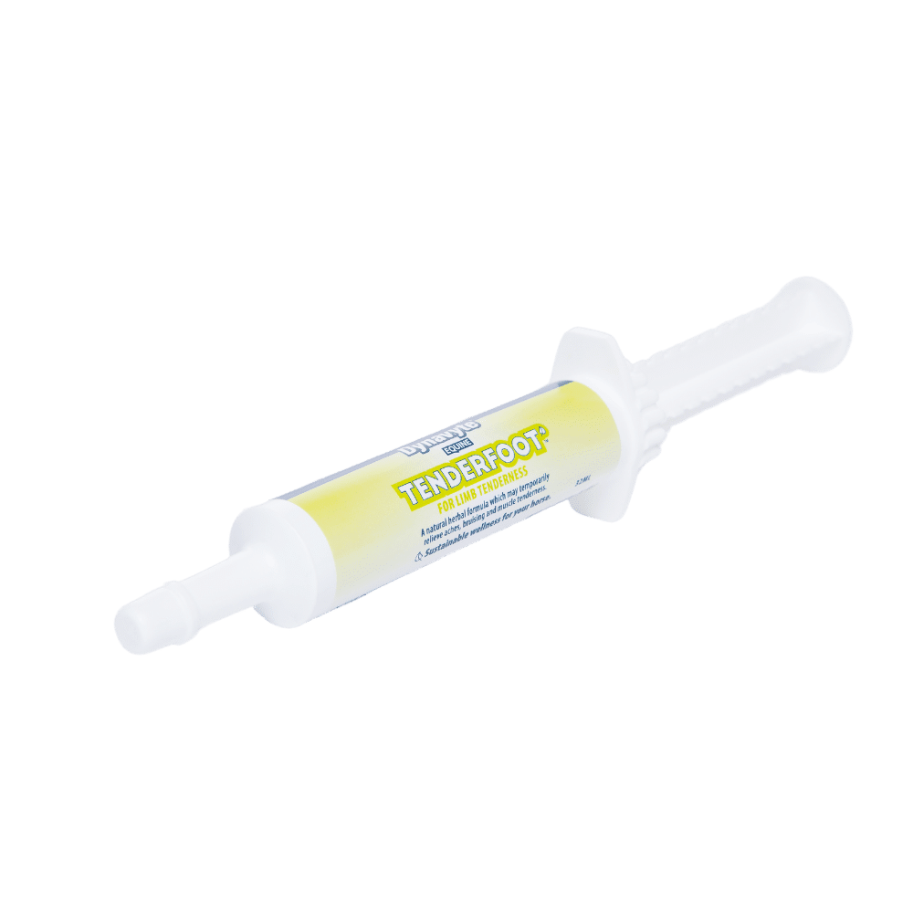Dynavyte Tenderfoot 32ml | Buy Online from Vet Post NZ | Fast Delivery