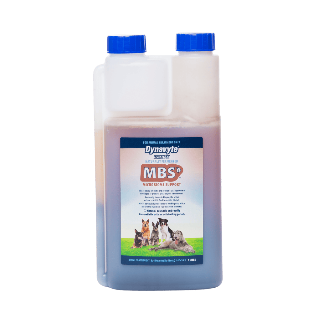 Dynavyte MBS Microbiome Support Working Dog 1L | Buy Online from Vet ...