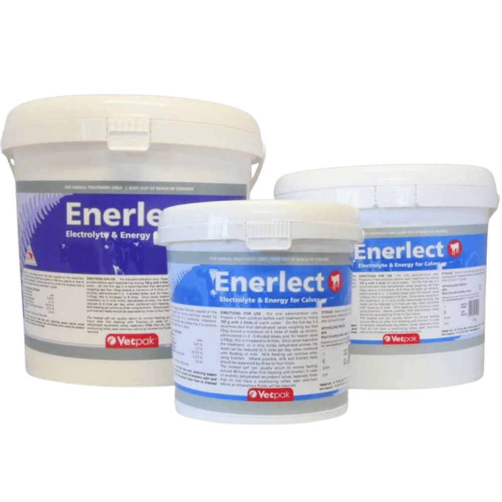 Enerlect | Buy Online from Vet Post NZ | Fast Delivery